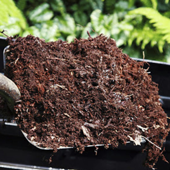 Cachaza – Azúcar Tababuela